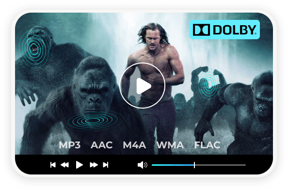 Blu-ray Player – Best Blu-ray and 4K Media Player for Windows